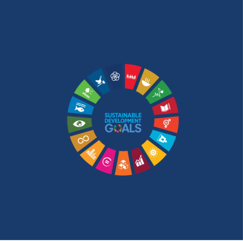 Durabilité UN SDG goals | NNZ French